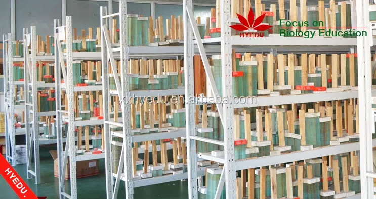 Xinxiang Hongye Edu. Instrument Co., Ltd.