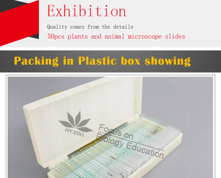 Basic science slide biological specimens slice 50 permanent piece of ...